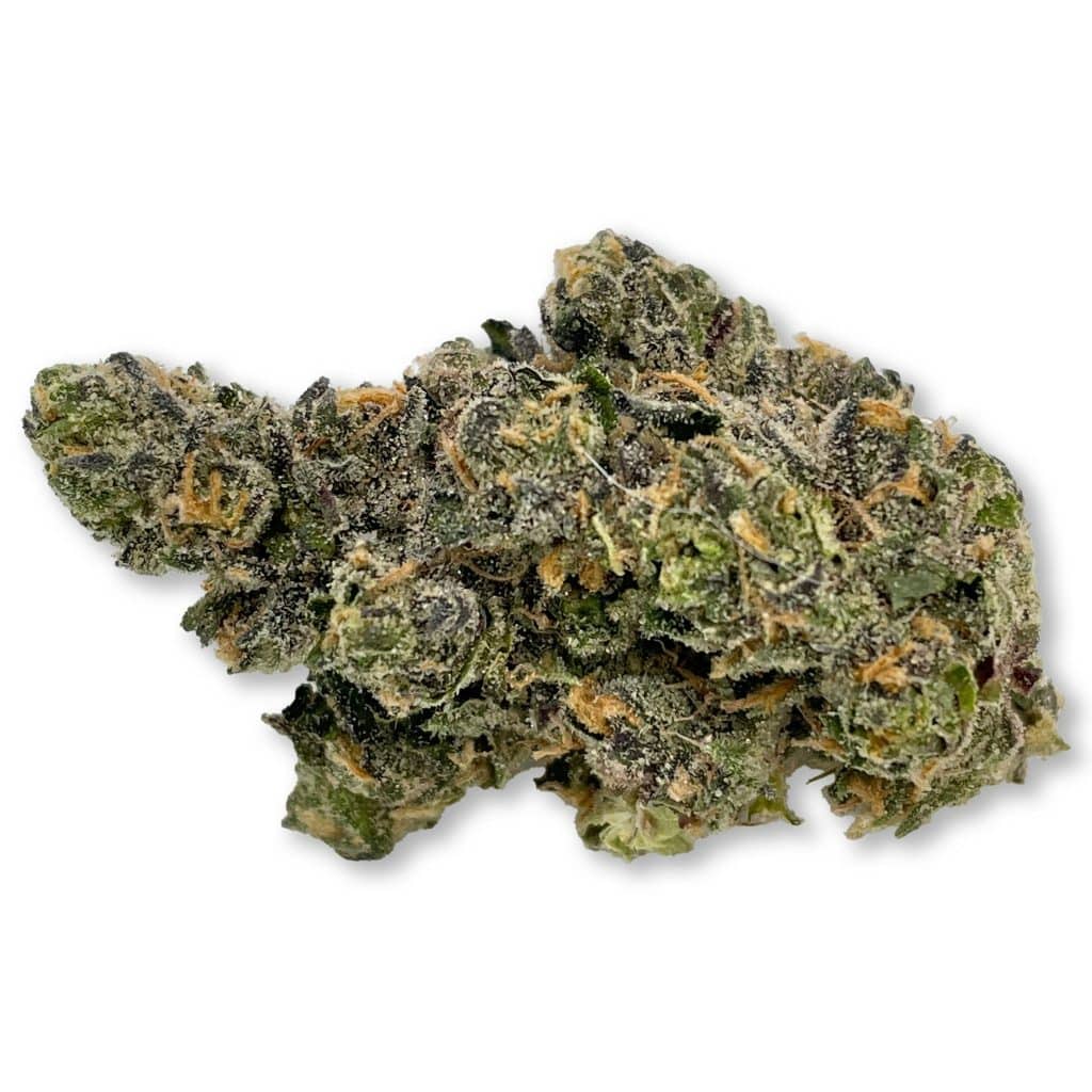 Pink Java (H) - WeeDeliver RVA